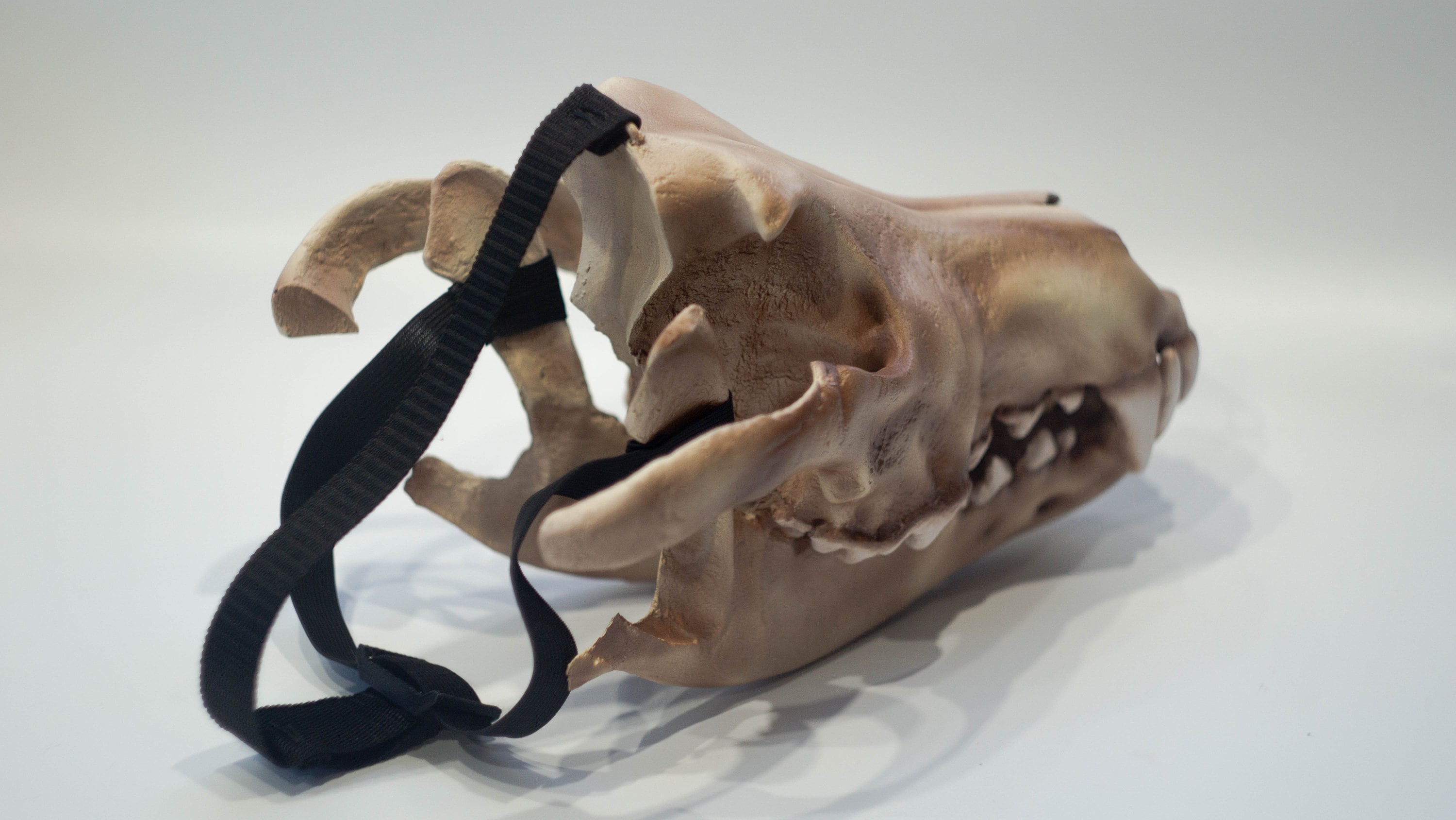 Wolf Skull Mask Animal Skull Mask Realistic Wolf Mask Resin Skull Mask Wolf Face Mask - Etsy