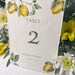 Lemon Calligraphy Place Cards / Handmade Paper Place Cards / Lemon ...
