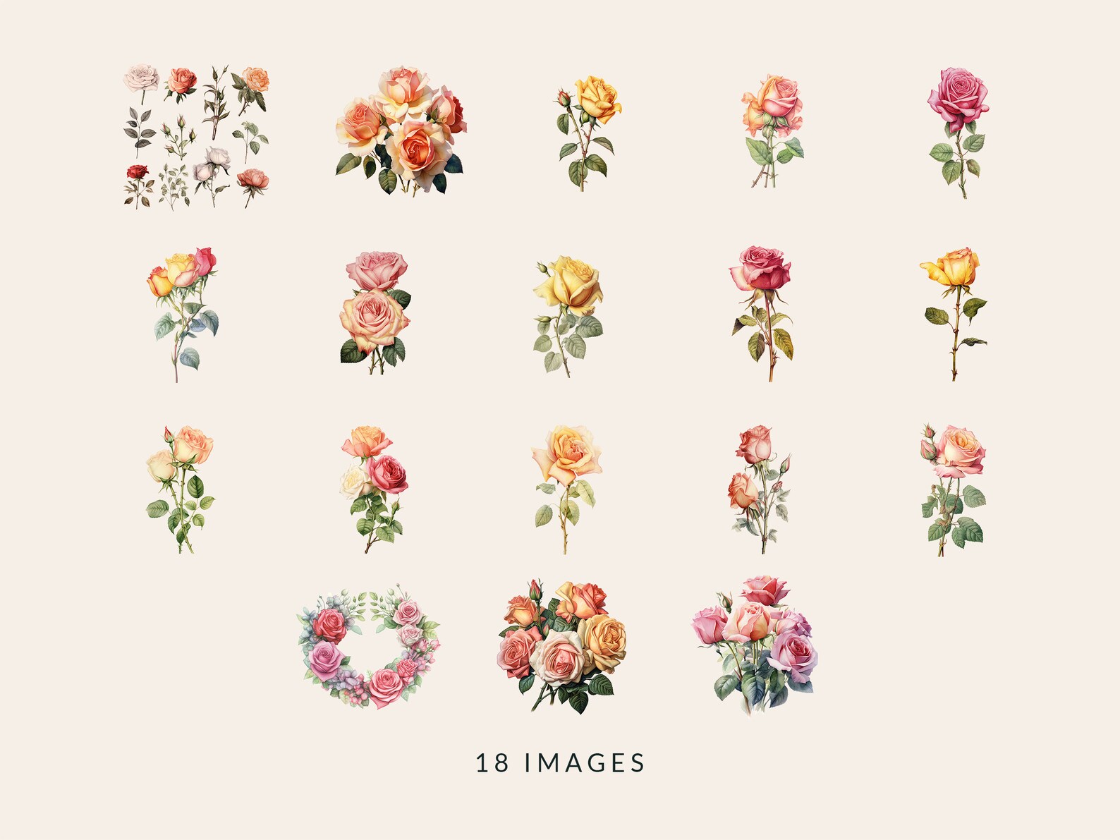 Rose Flowers Clipart Pack 18 Digital PNG Images With Transparent ...