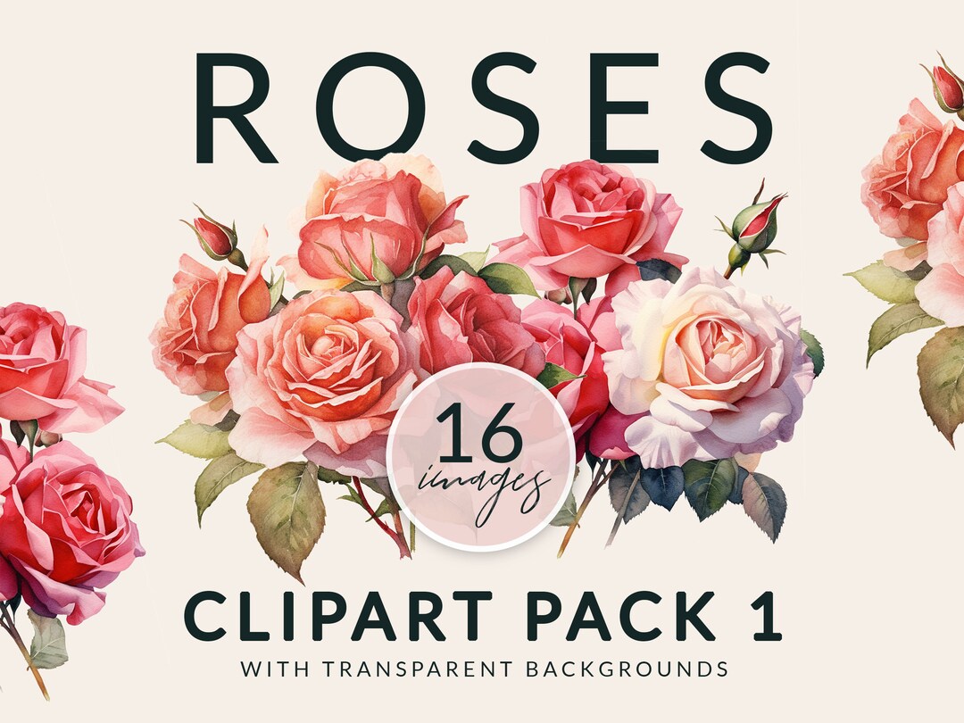Rose Flowers Clipart Pack 16 Digital PNG Images With Transparent ...