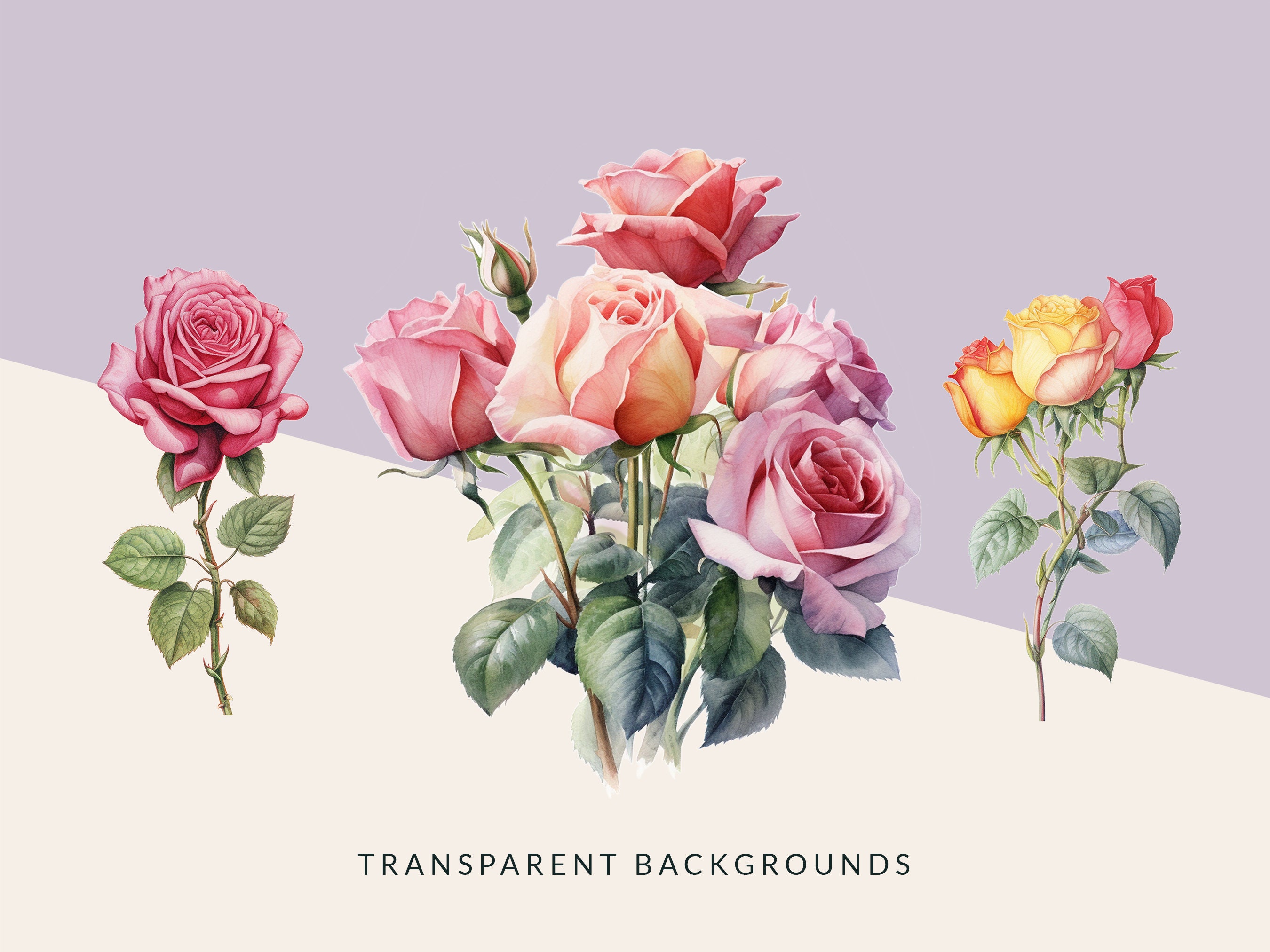 Rose Flowers Clipart Pack 18 Digital PNG Images With Transparent ...