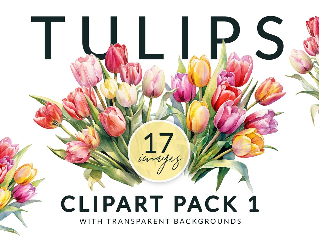 Tulip Flowers Clipart Pack 17 Digital PNG Images With - Etsy