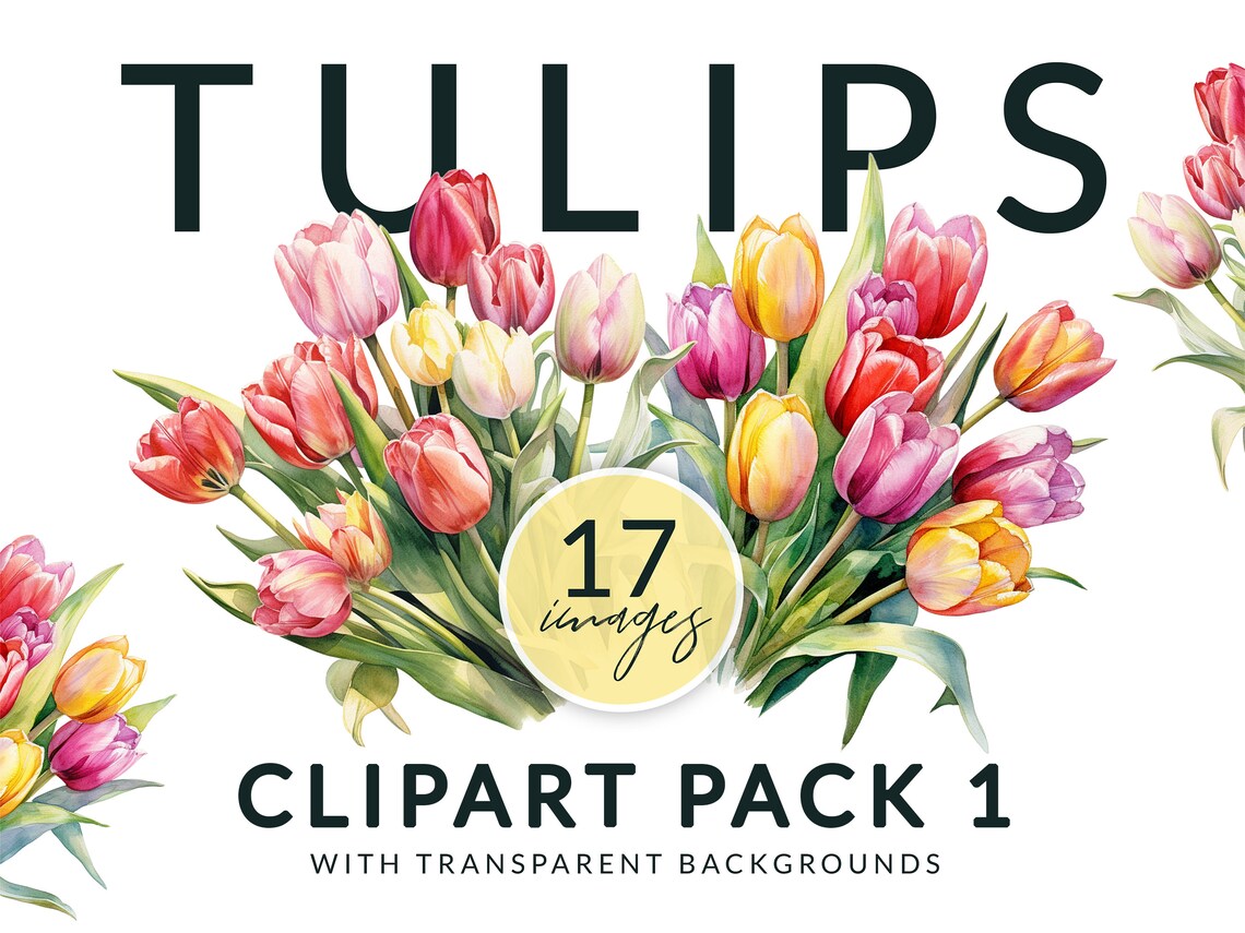 Tulip Flowers Clipart Pack 17 Digital PNG Images With - Etsy