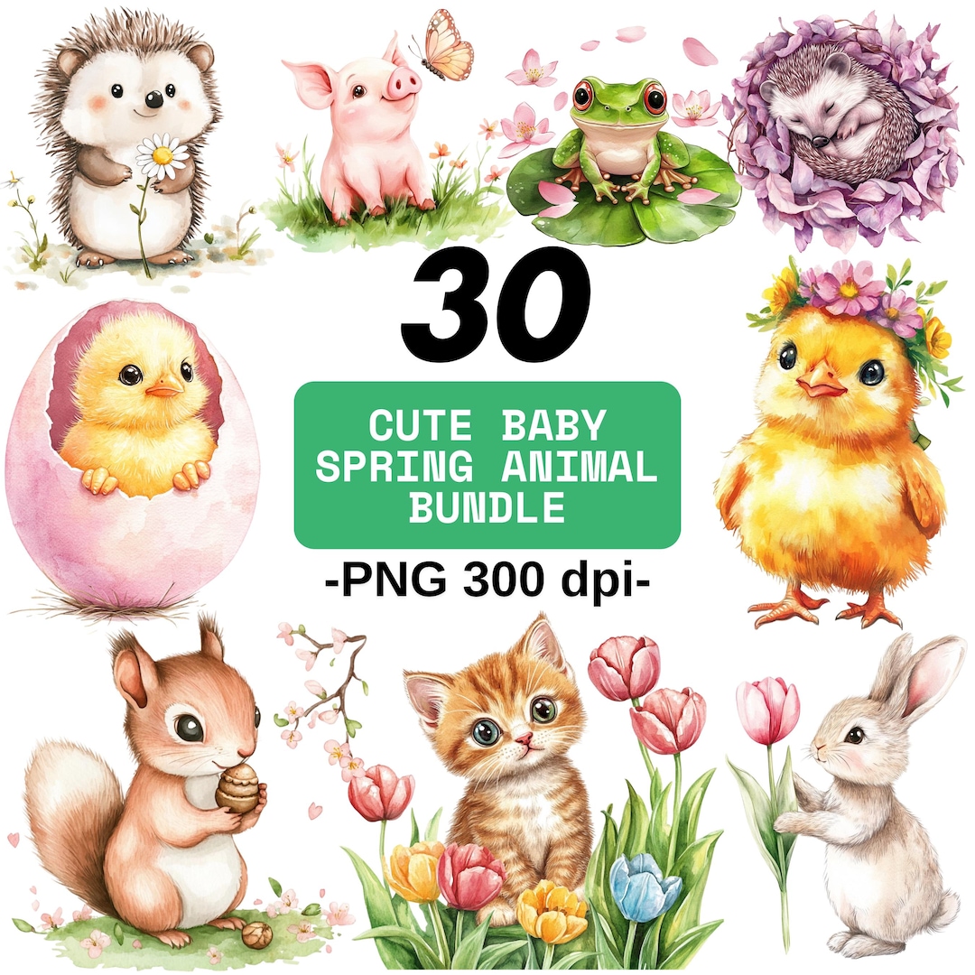30 Baby Spring Animal Clipart PNG Bundle With Cute Woodland Creatures ...