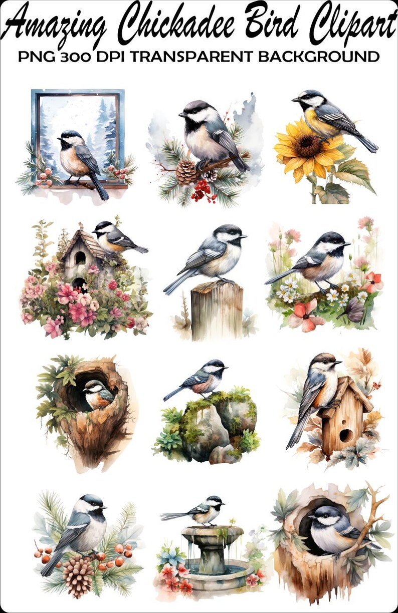 Chickadee Bird PNG Bundle, Printable Clipart Set, Digital Download ...
