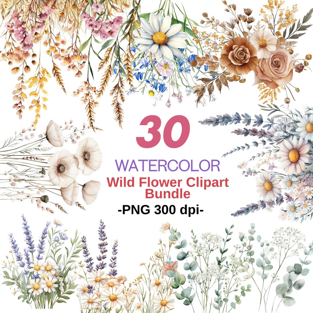Watercolor Wildflower Clipart Bundle, 30 PNG Floral Illustrations High ...