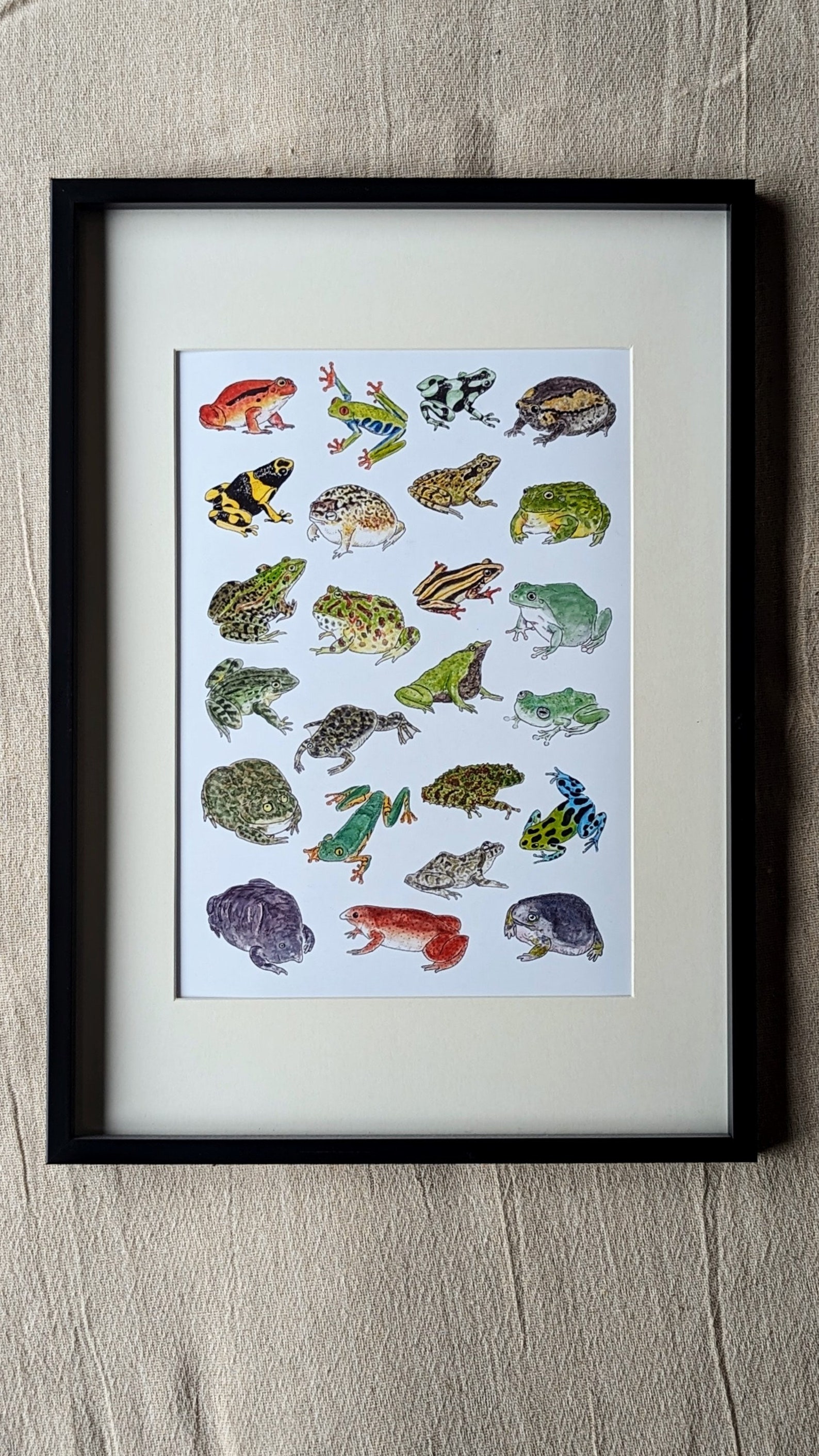 Frogs of the World Frog Poster Frog Art Frog Painting - Etsy