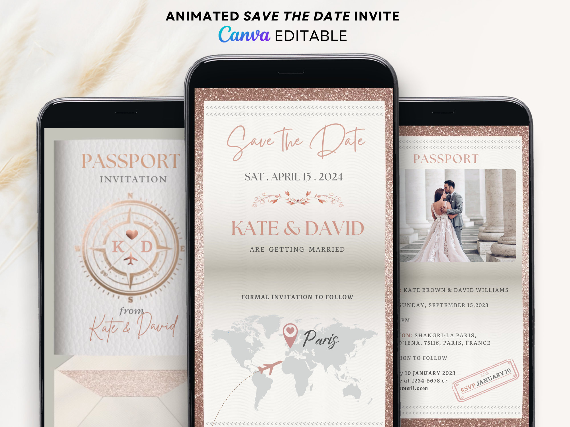 Digital Save the Date Template Passport Invitation Template Digital ...