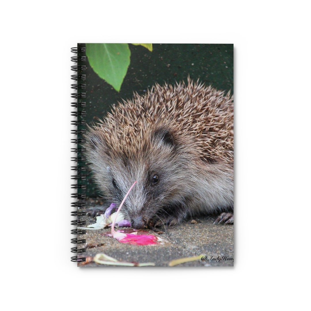 Spiral Notebook With Hedgehog Photograph Ruled Line - Etsy