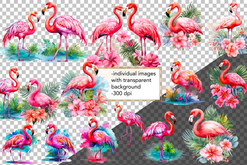 Watercolor Flamingo Clipart, Tropical Flowers, Birds, PNG Format ...