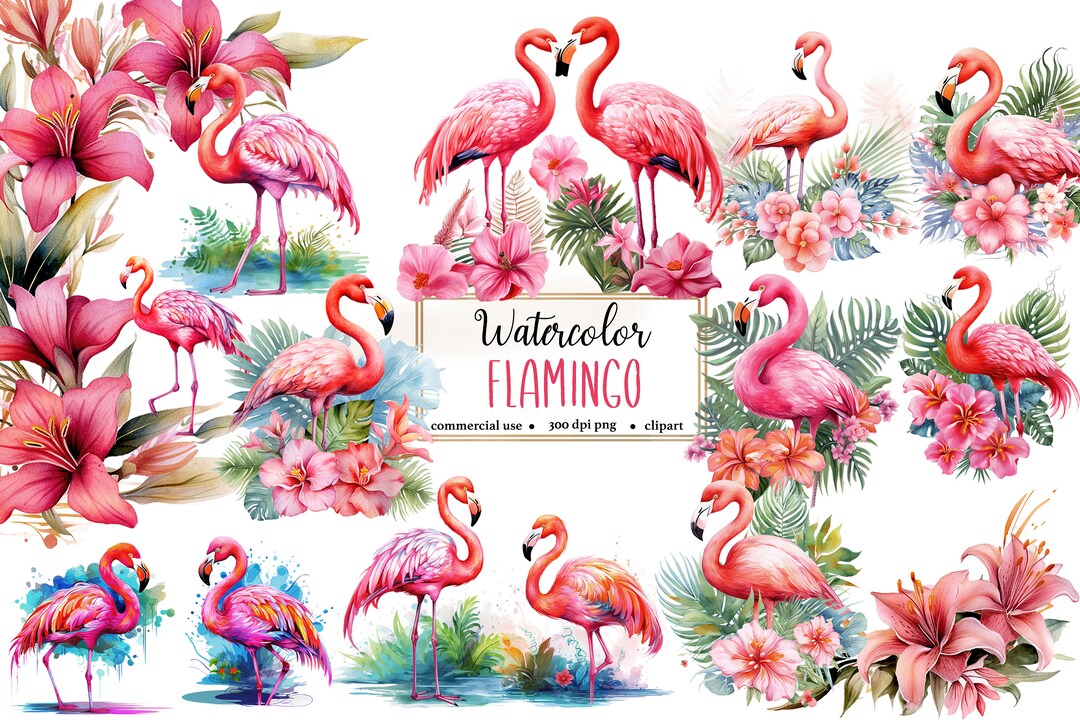 Watercolor Flamingo Clipart, Tropical Flowers, Birds, PNG Format ...