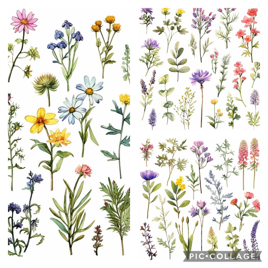 Wildflower Watercolor Patterns - Etsy