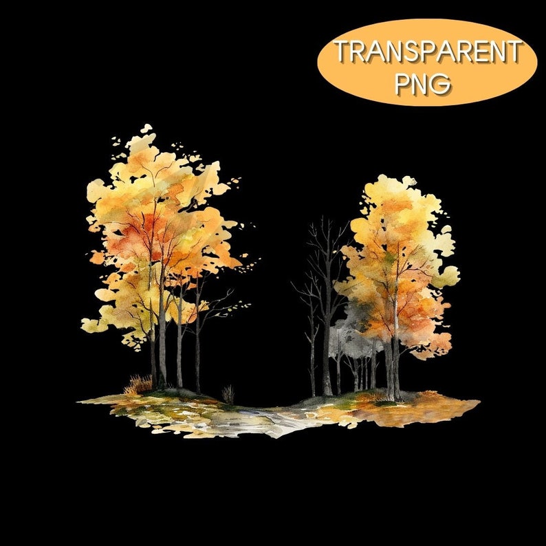 43 Fall Birch Trees Watercolor Clipart Autumn丨43 PNG Birch Tree Images ...