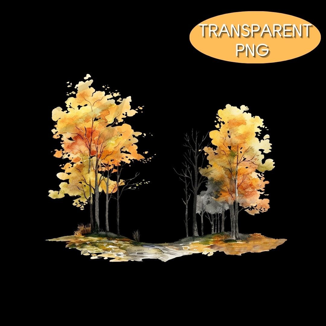 43 Fall Birch Trees Watercolor Clipart Autumn丨43 PNG Birch Tree Images ...