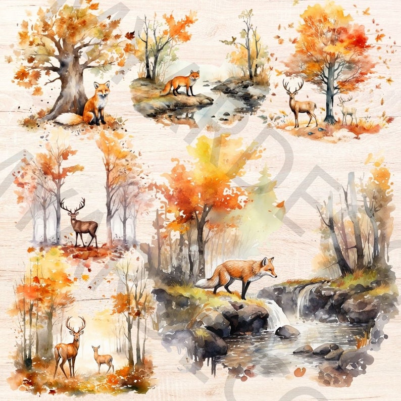 43 Fall Birch Trees Watercolor Clipart Autumn丨43 PNG Birch Tree Images ...