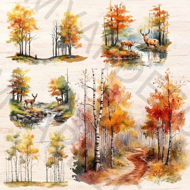 43 Fall Birch Trees Watercolor Clipart Autumn丨43 PNG Birch Tree Images ...