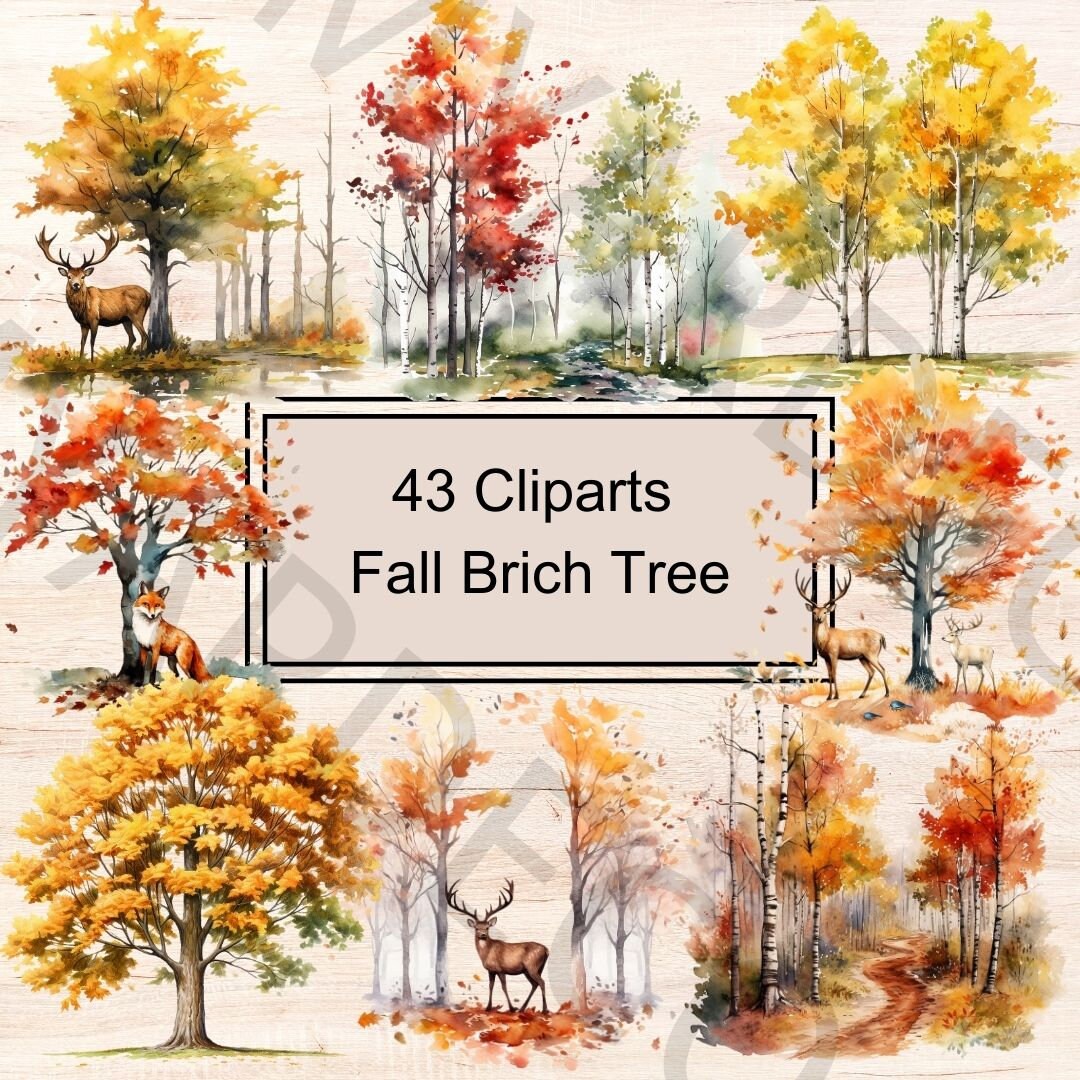43 Fall Birch Trees Watercolor Clipart Autumn丨43 PNG Birch Tree Images ...
