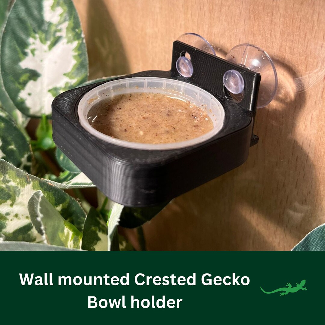 Crested Gecko Feeding Ledge, Wall Mounted Reptile Dish, Gecko Diet ...