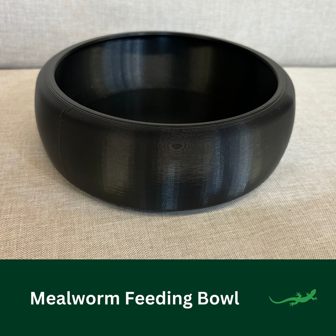 Escape-proof Mealworm Bowl, LARGE Feeding Reptile Bowl, Frog Feeding ...