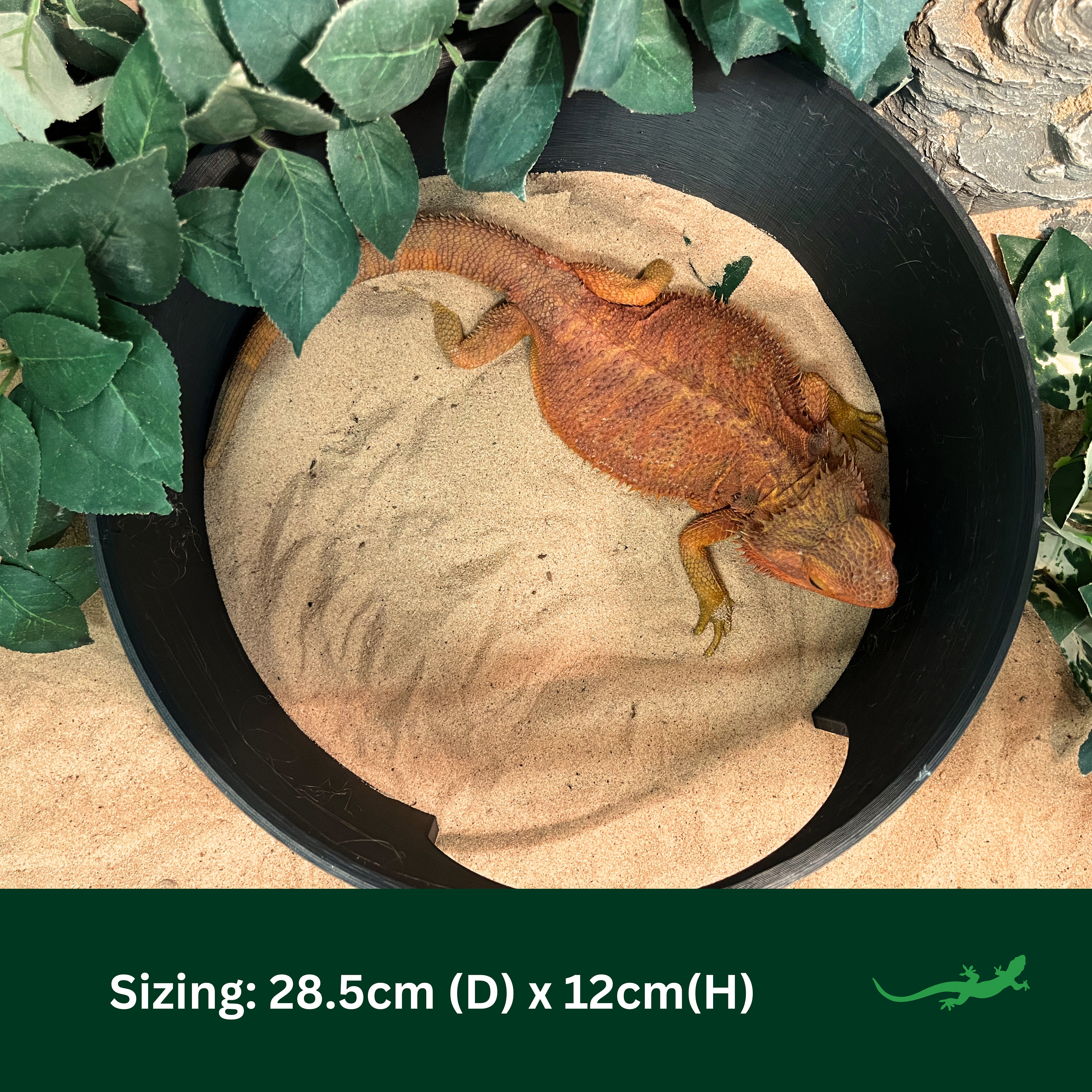 Bearded Dragon Hide, Huge Circular Hide for Reptile, Vivarium Climbing ...