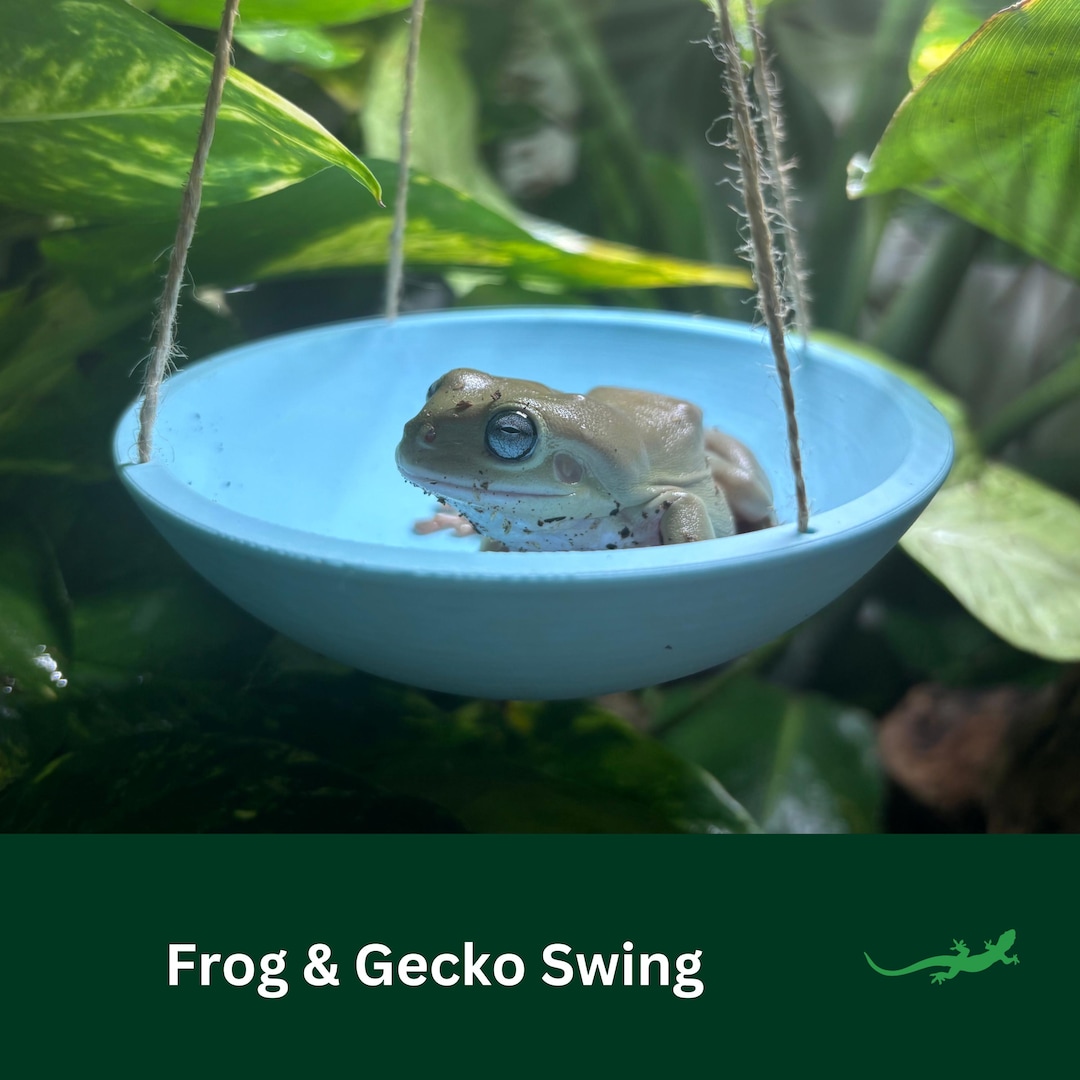 FROG Swing, Swinging Ledge Platform, Vivarium Decor, Crested Gecko ...
