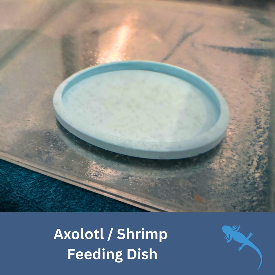 Axolotl Feeding Bowl, SHRIMP Food Dish Decoration, Fish Tank Decor ...
