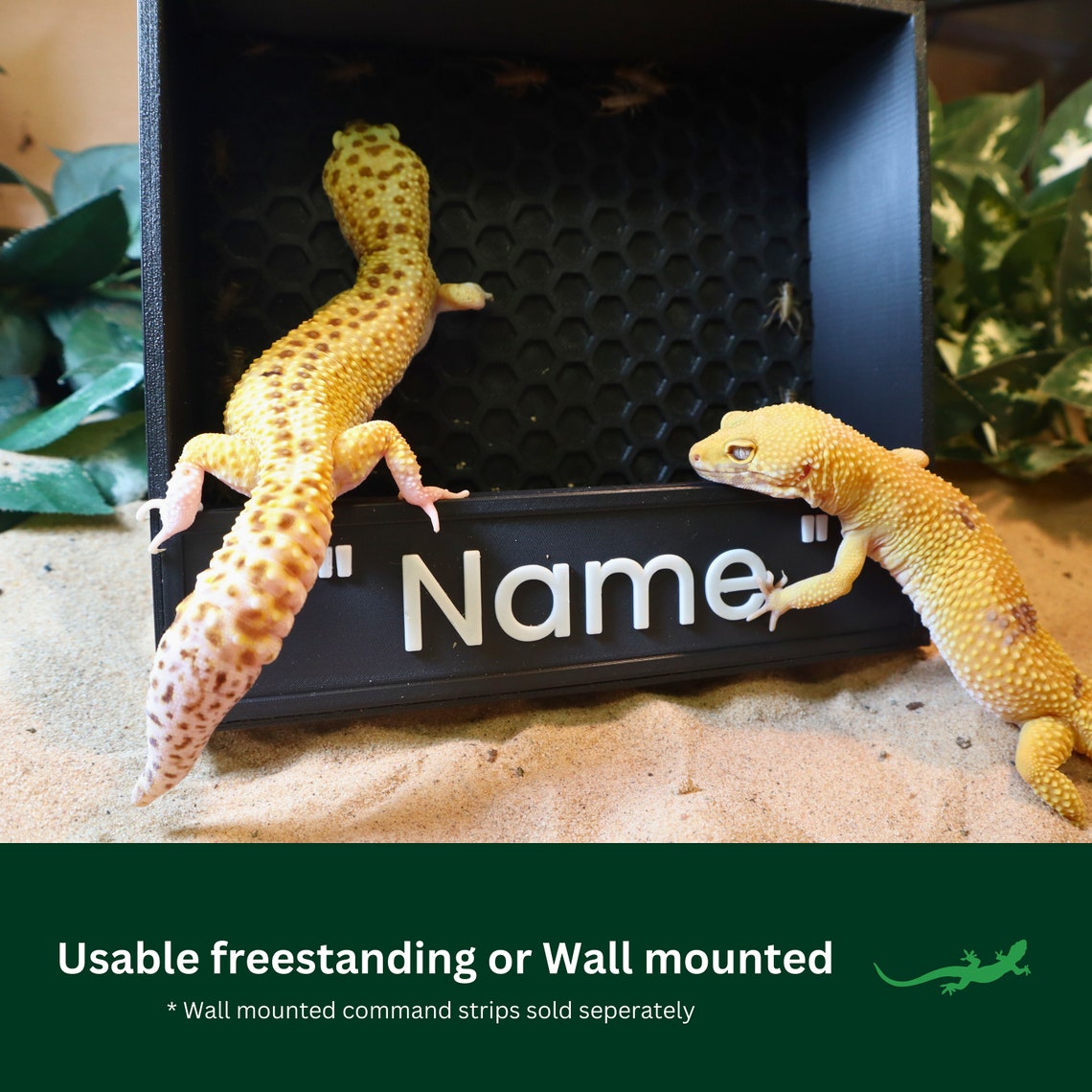 EXTRA LARGE Personalised Reptile Insect Feeder, Chameleon or Bearded ...