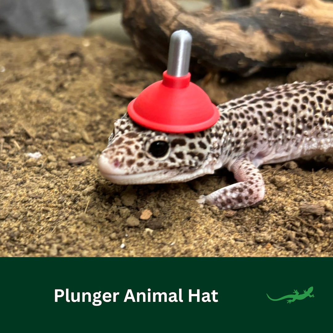 PLUNGER Hat for Small Pet, Critter Accessory, Funny Gift for Reptile ...