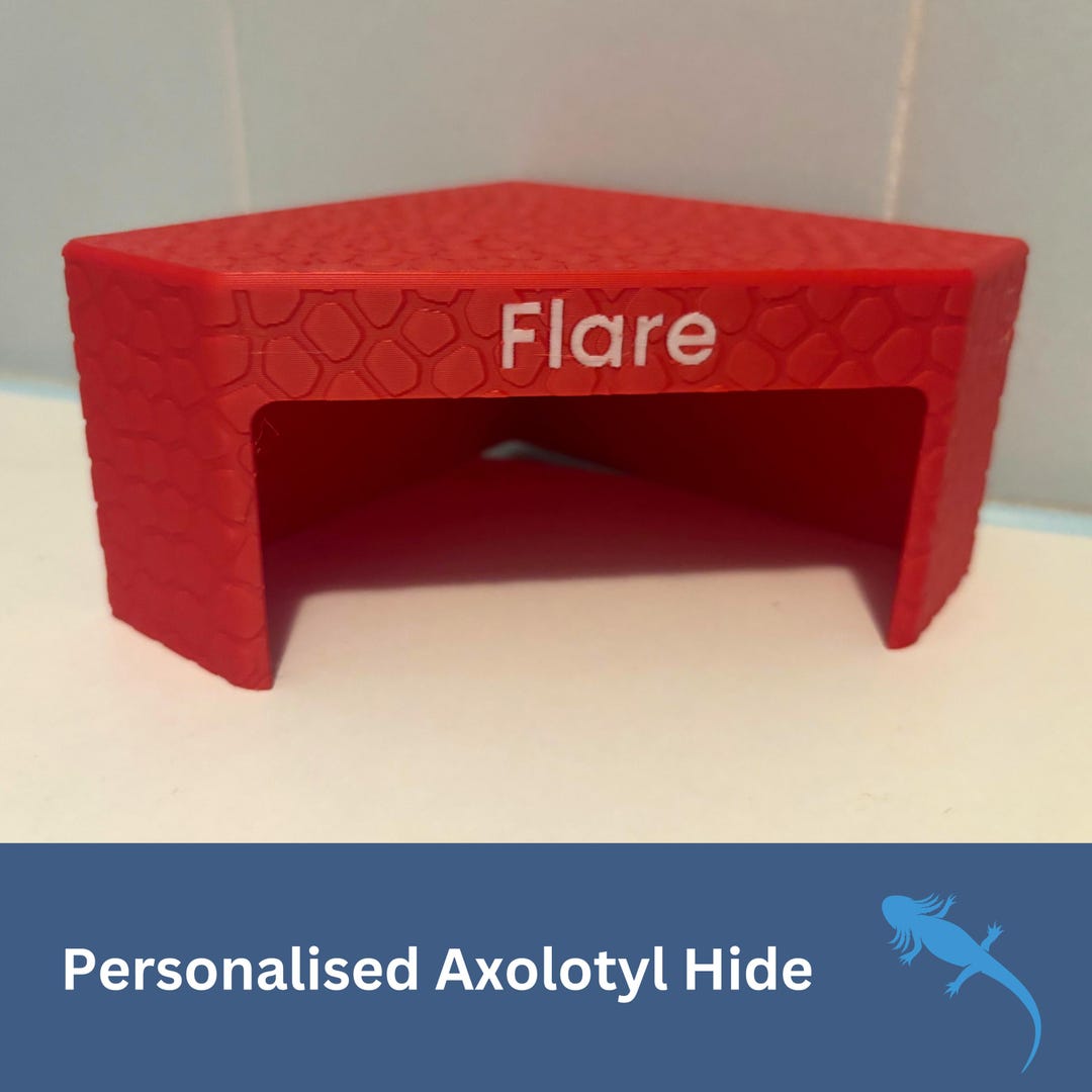 CORNER Personalised AXOLOTL Aquarium Hide, Whimsical Vivarium Pet ...