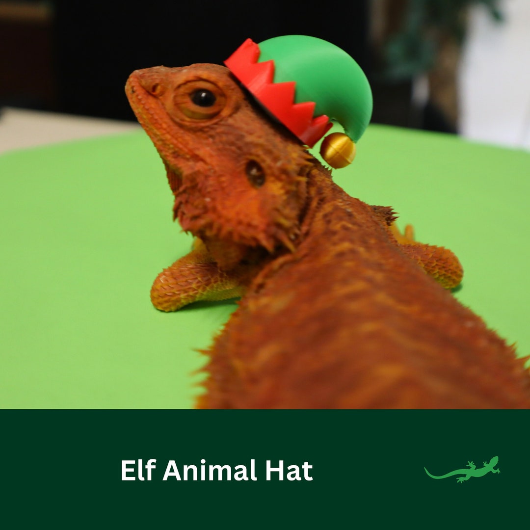 Elf Hat for Small Pet, Christmas Critter Accessory, Funny Gift for ...