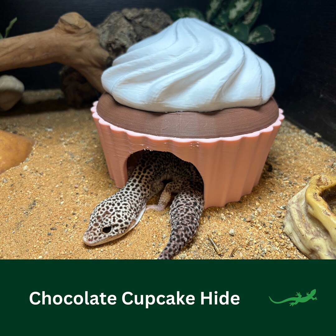 Cupcake Reptile Hide, CHOCOLATE, Large Food Accessory, Arachnid, Lizard ...