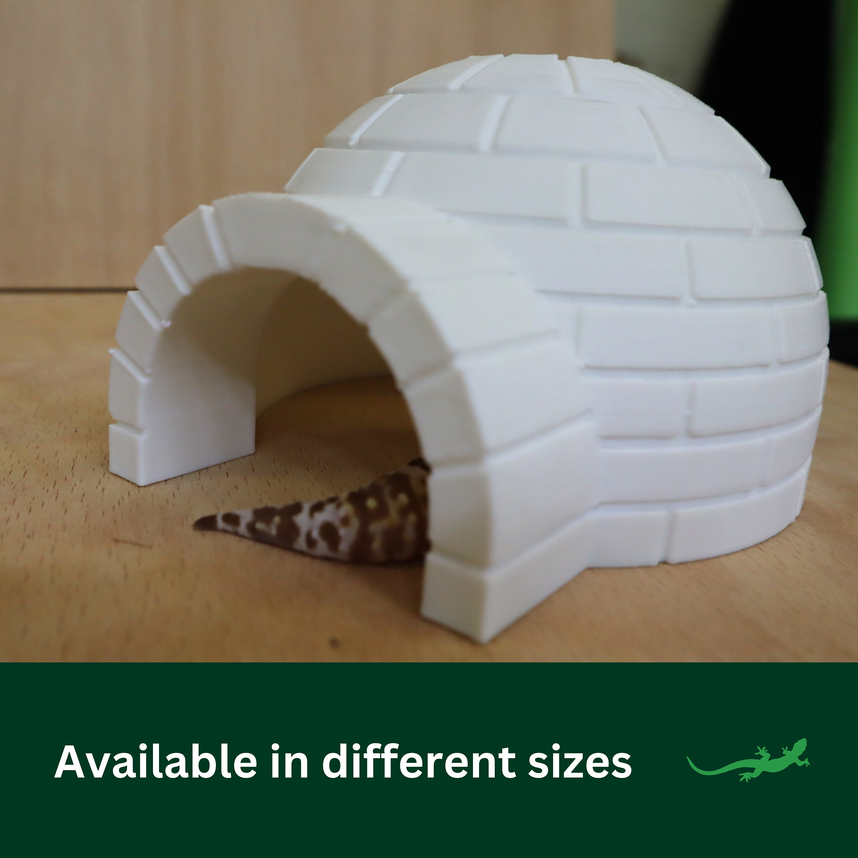 Igloo Reptile Hide, Large Christmas Accessory for Arachnid, Lizard ...