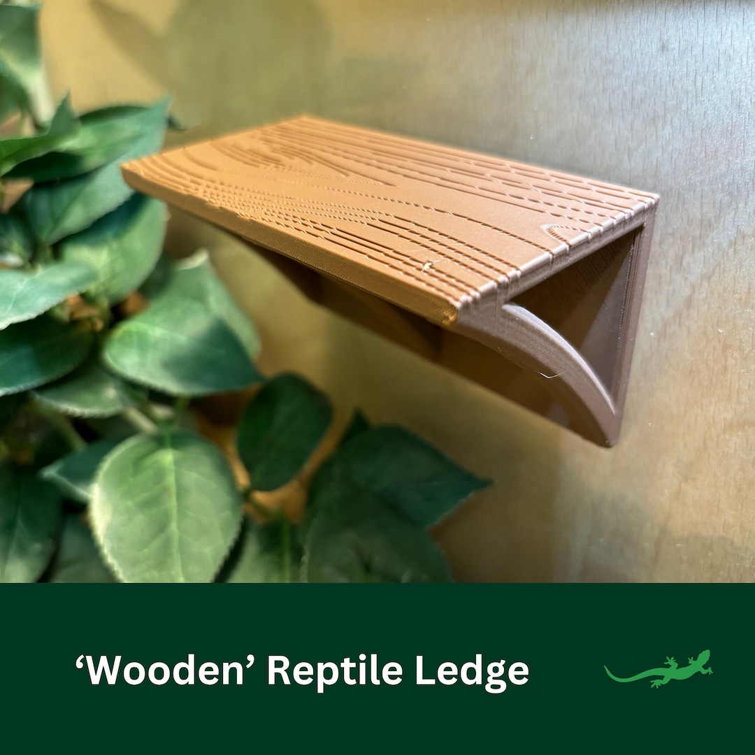 Frog and Gecko Ledge Platform. WOOD Grain, Gift for Reptile, Dart ...