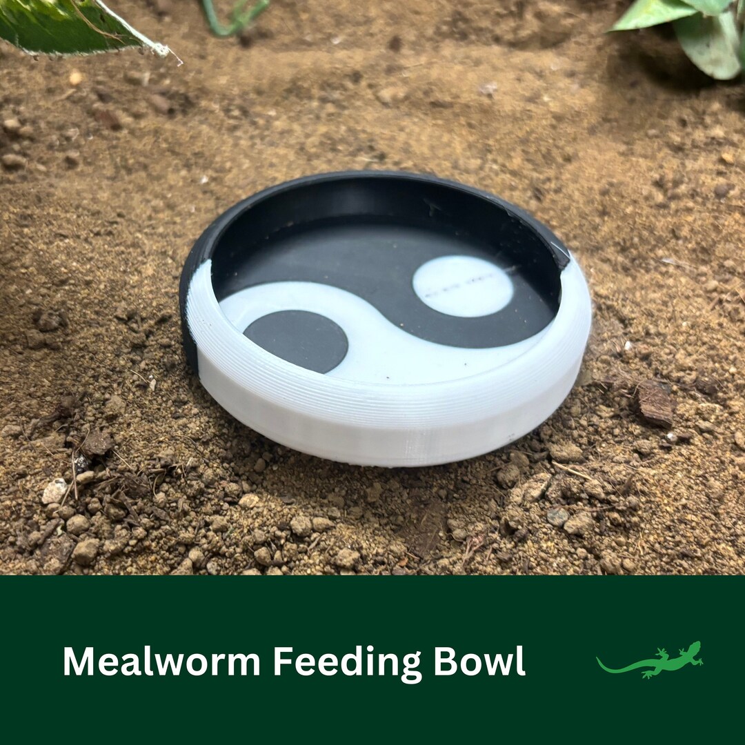 Escape-proof Mealworm Bowl, YINGYANG Feeding Reptile Bowl, Frog Feeding ...