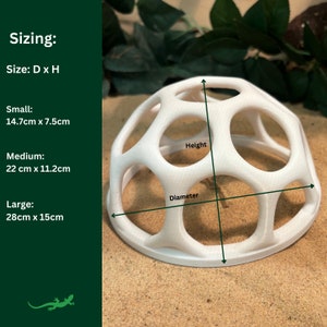 Snake Jungle Gym, Reptile Climbing Frame, Climber Enrichment for ...