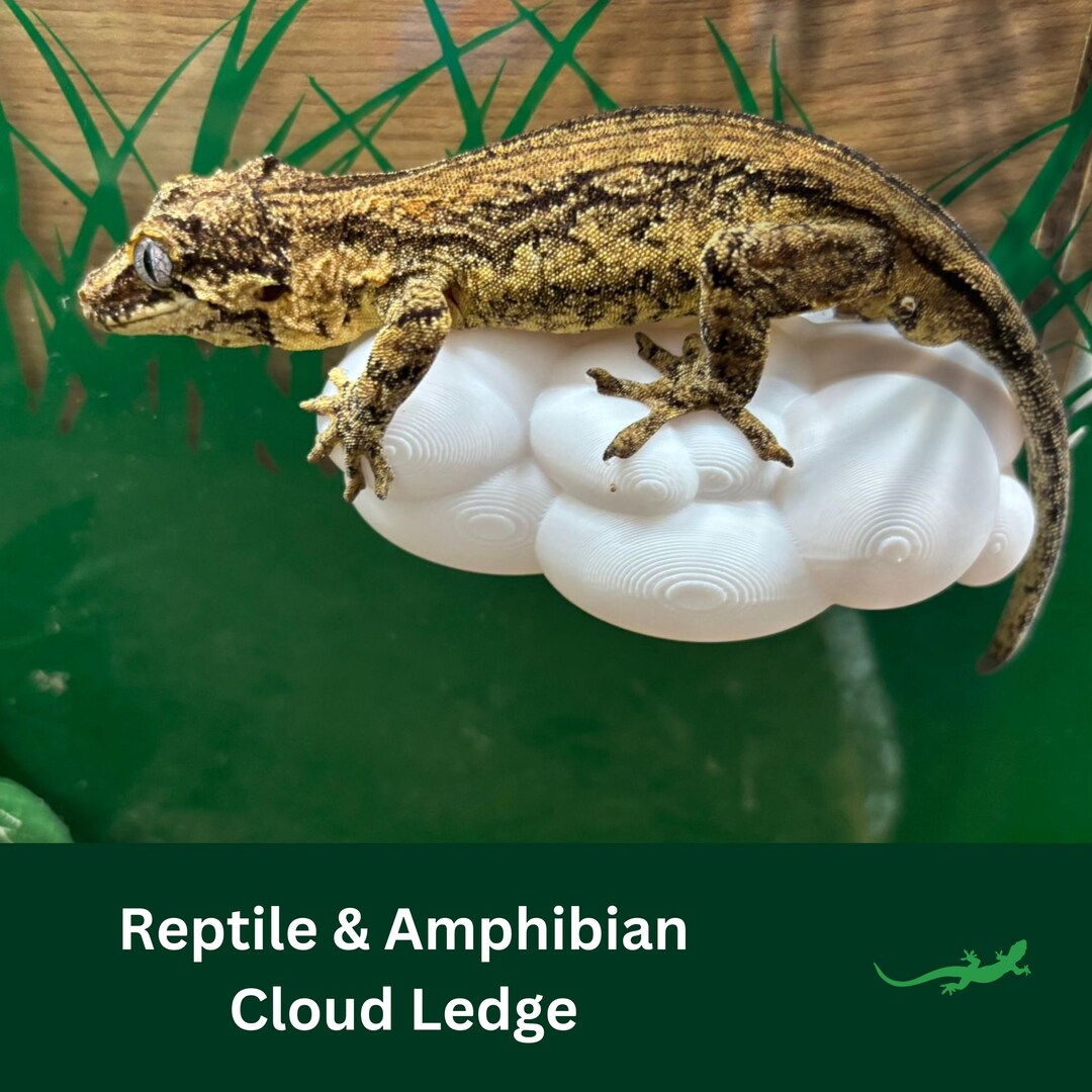 CLOUD Ledge Reptile Platform, Vivarium Decor, Gift for Crested Gecko ...