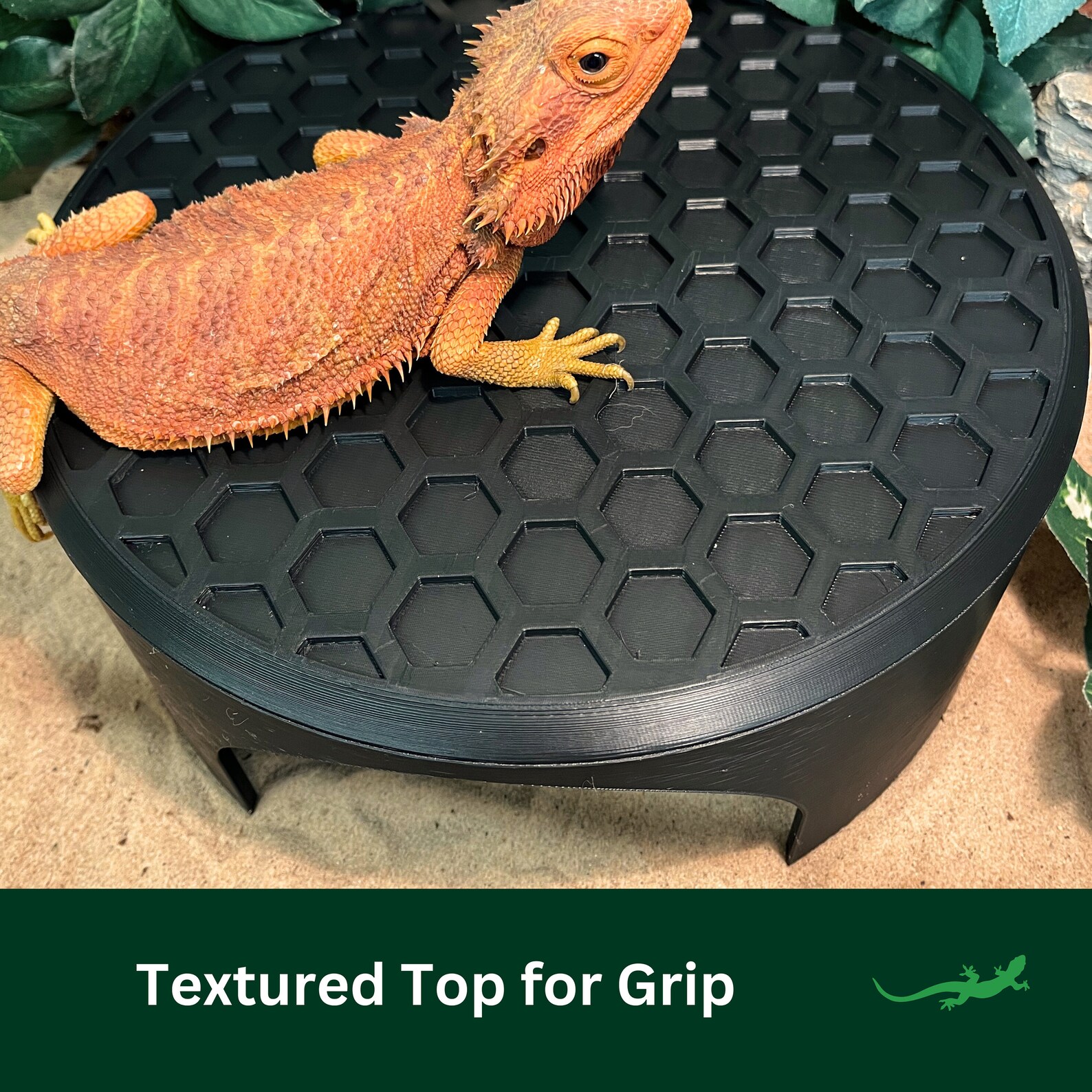Bearded Dragon Hide, Huge Circular Hide for Reptile, Vivarium Climbing ...