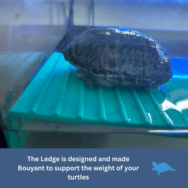 Floating Turtle Dock Ramp, Basking Platform for Aquatic Turtles, Turtle ...