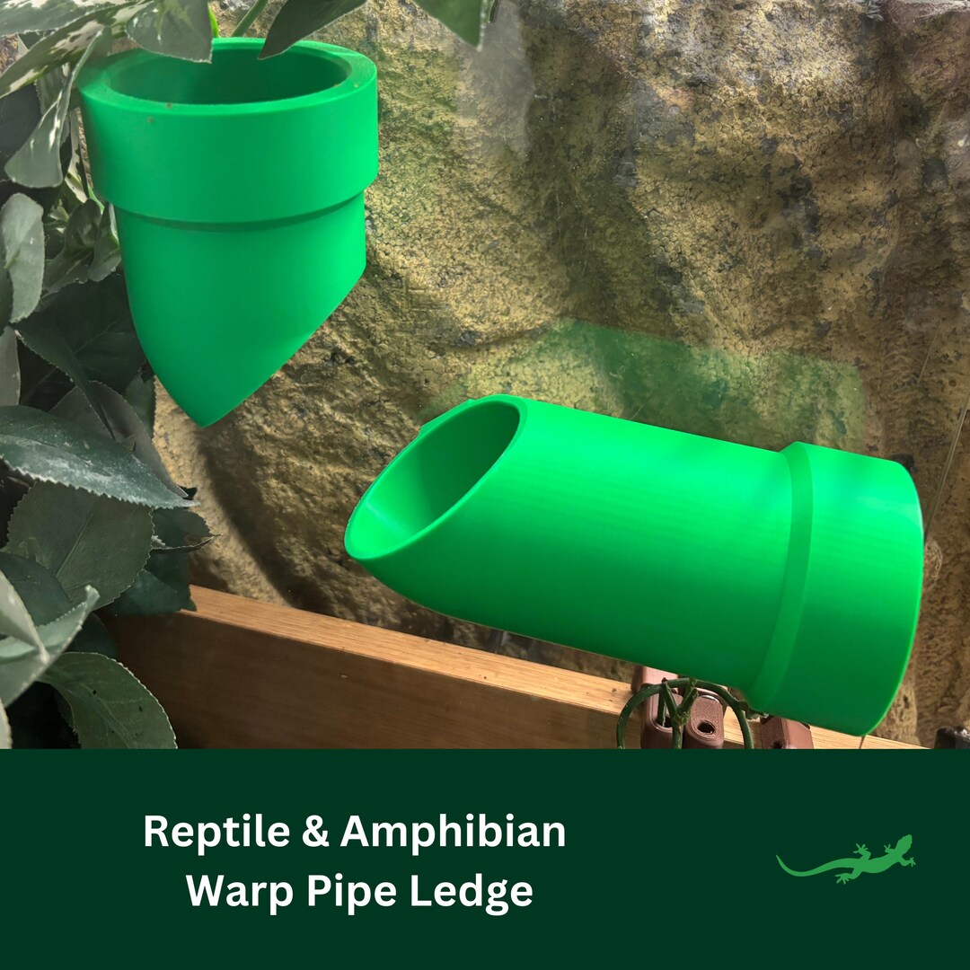 WARP PIPE Ledge Reptile Platform, Vivarium Decor, Crested Gecko Gift ...