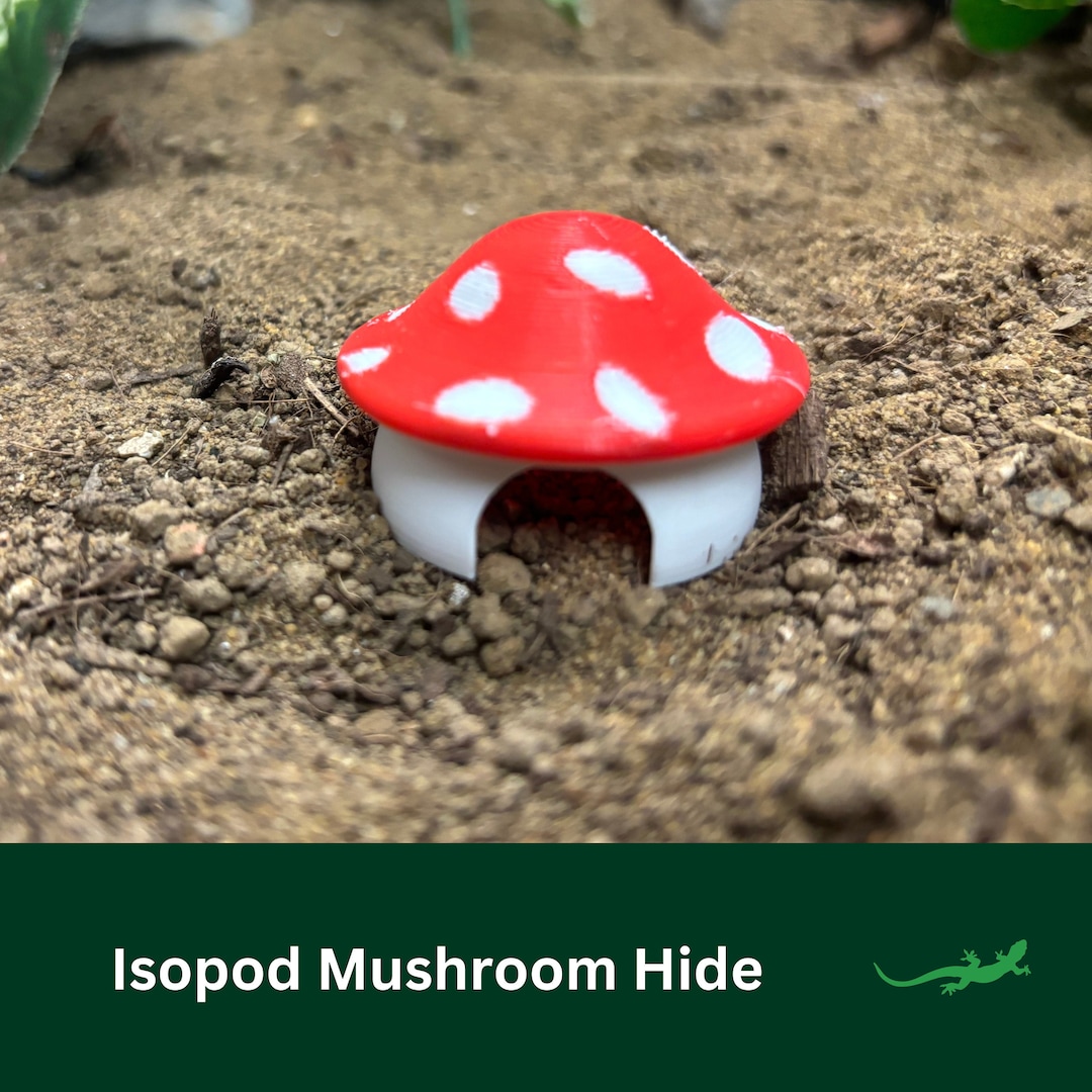 MICRO Mushroom Isopod Hide, Woodlice Vivarium Accessory Decor, Gift for ...