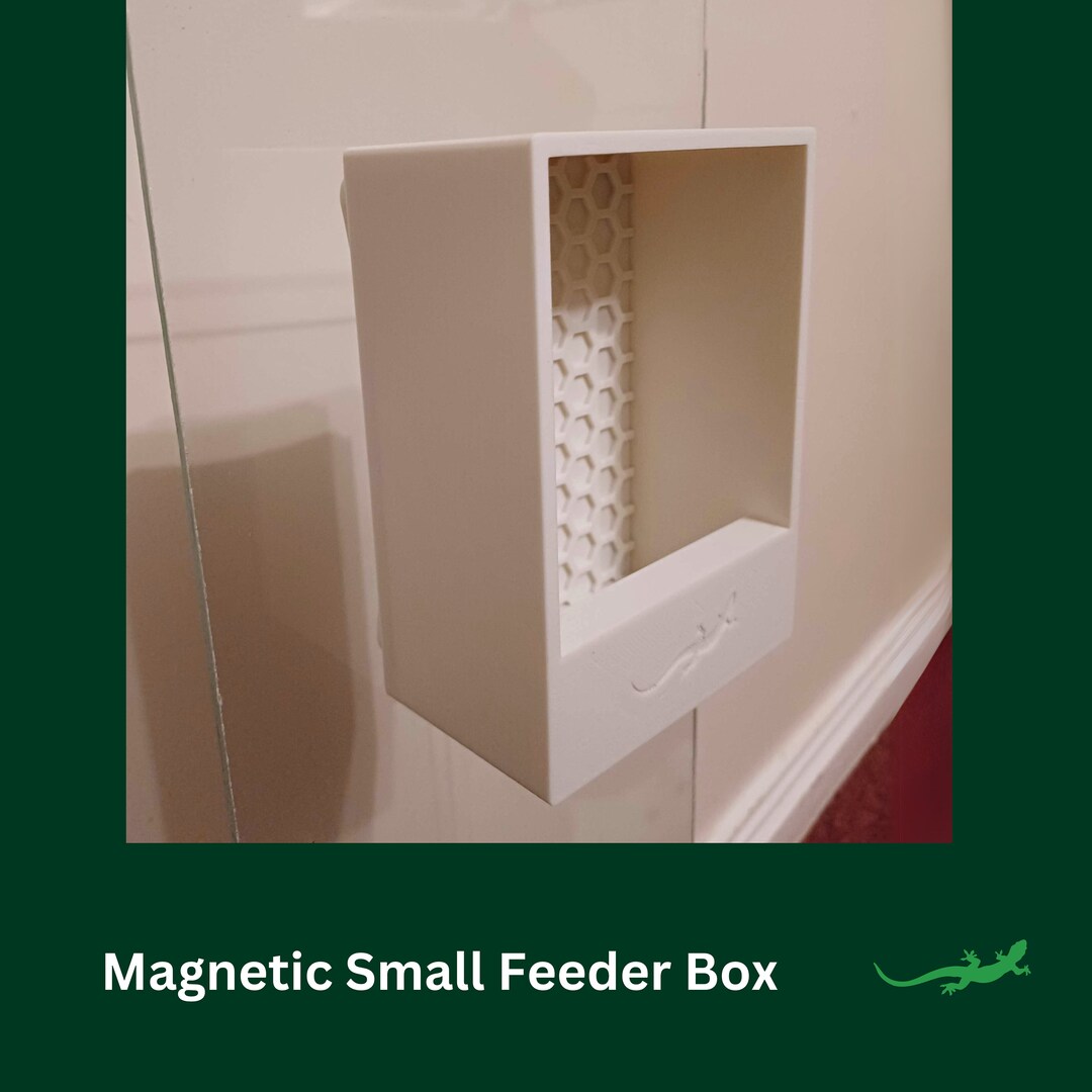 SMALL SLIM Insect Reptile Feeder for Crested, Gargoyle & Leopard Gecko ...