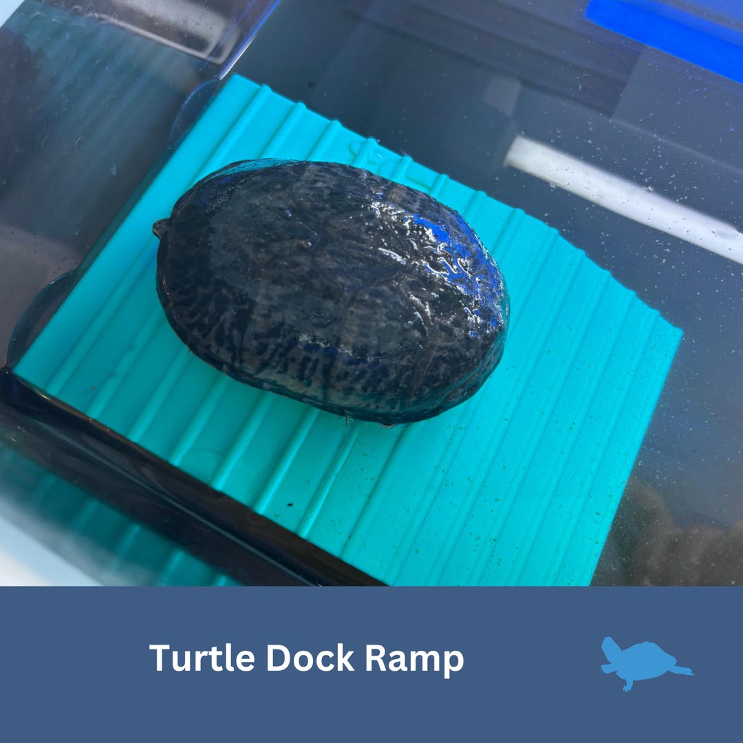 Floating Turtle Dock Ramp, Basking Platform for Aquatic Turtles, Turtle ...