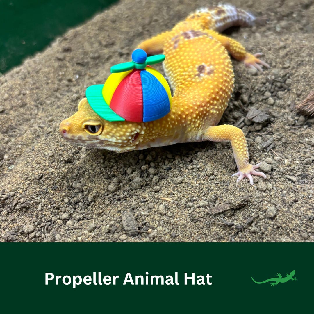 Propeller Hat for Small Pet, Critter Accessory, Reptile Lover Funny ...