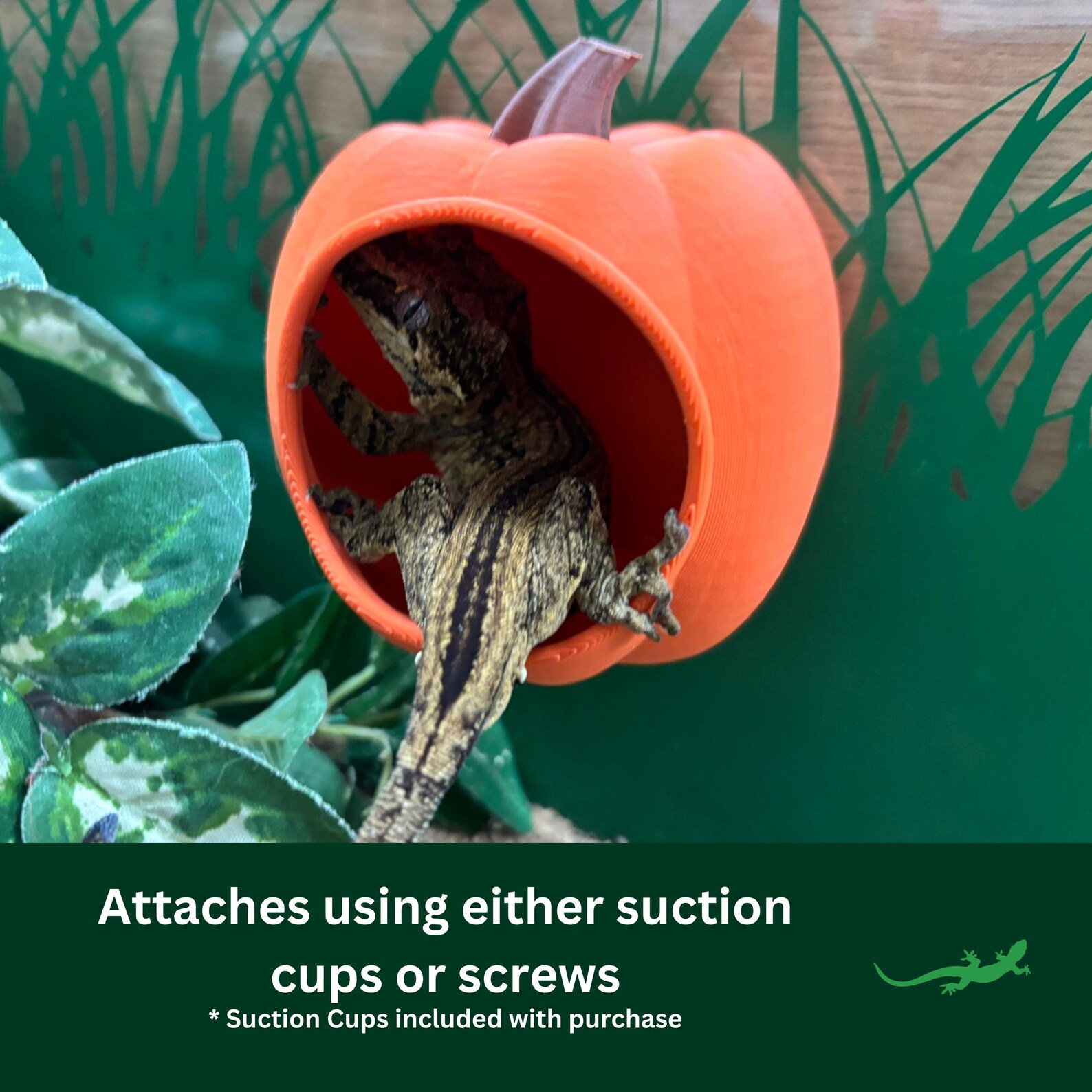 PUMPKIN Wall Mounted Reptile Hide, Whimsical Vivarium Accessory Gift ...