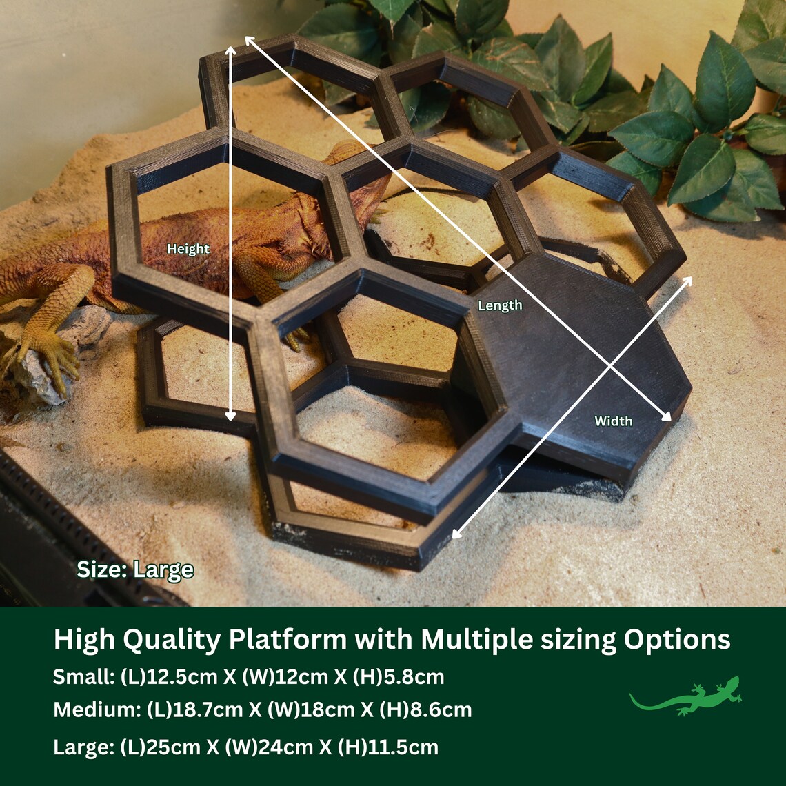 Reptile Basking Ramp, Bearded Dragon Climbing Platform, Honeycomb Wall ...