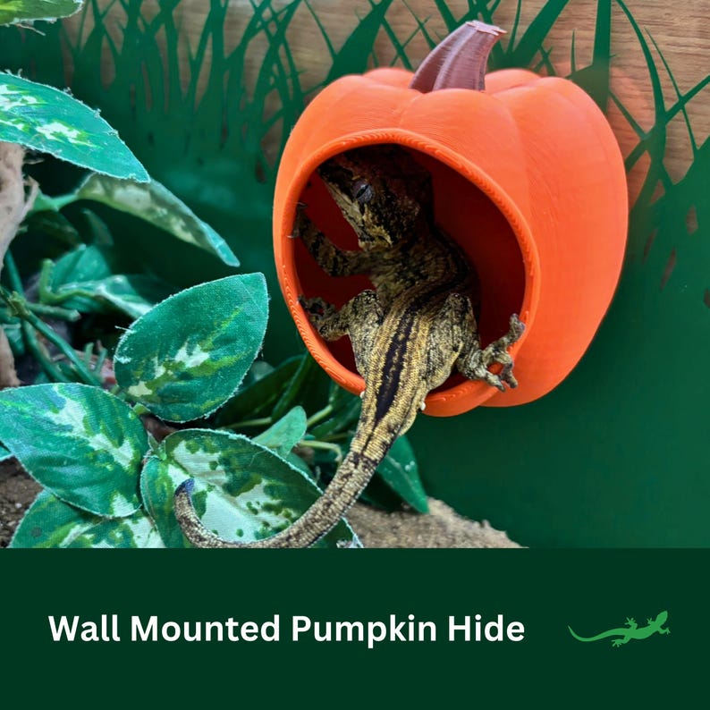 PUMPKIN Wall Mounted Reptile Hide, Whimsical Vivarium Accessory Gift ...
