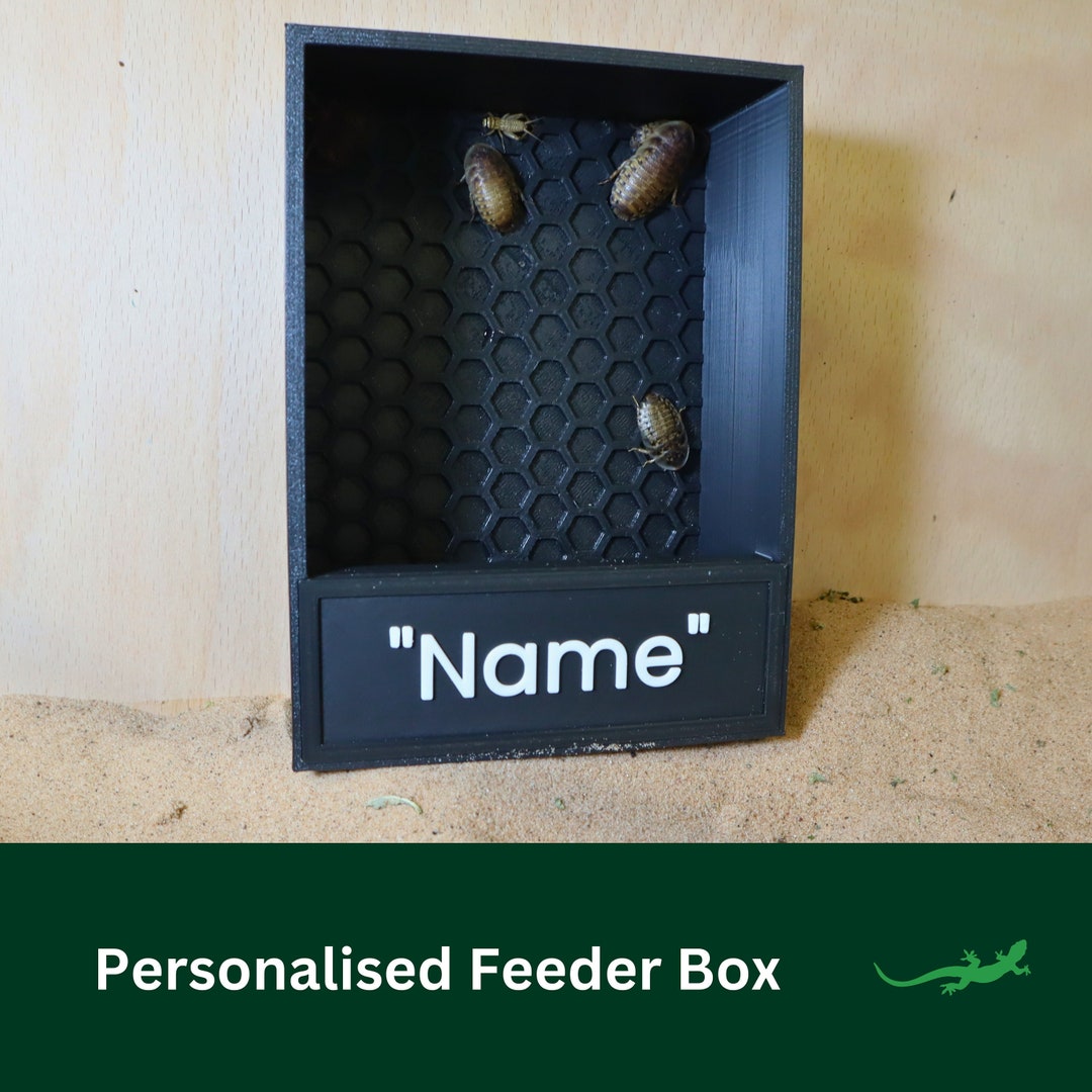 Personalised Reptile Insect Feeder, Chameleon Feeding Box, Gift for ...