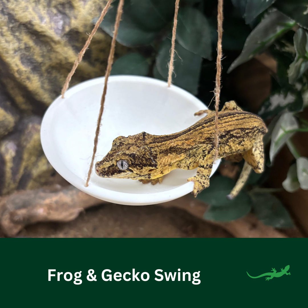 GECKO or FROG Swing, Swinging Ledge Platform, Vivarium Decor, Crested Gecko, Dart Tree Frog ...