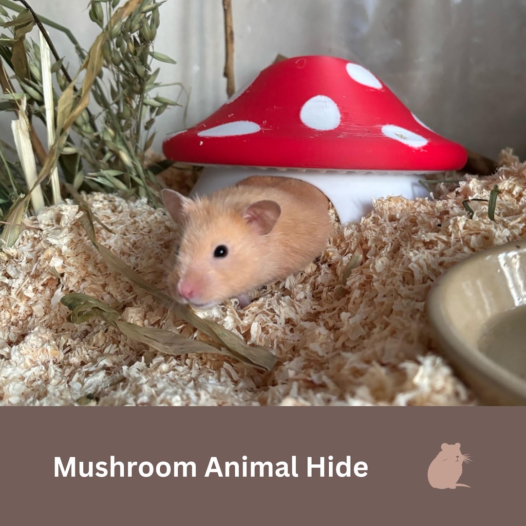 Mushroom Hamster Hide, Cute Pet Cave for Mice, Syrian Hamster, Rat ...