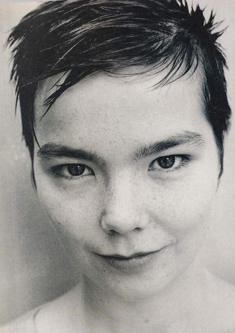 Original Vintage Mini Poster / Magazine Clipping Bjork - Etsy